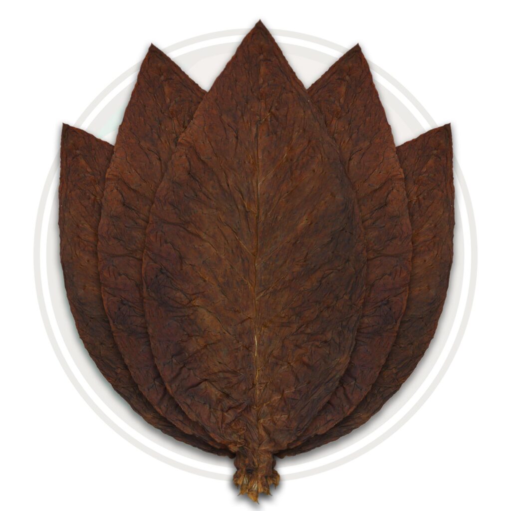 Fronto Dark Air Cured J1 - My Buds