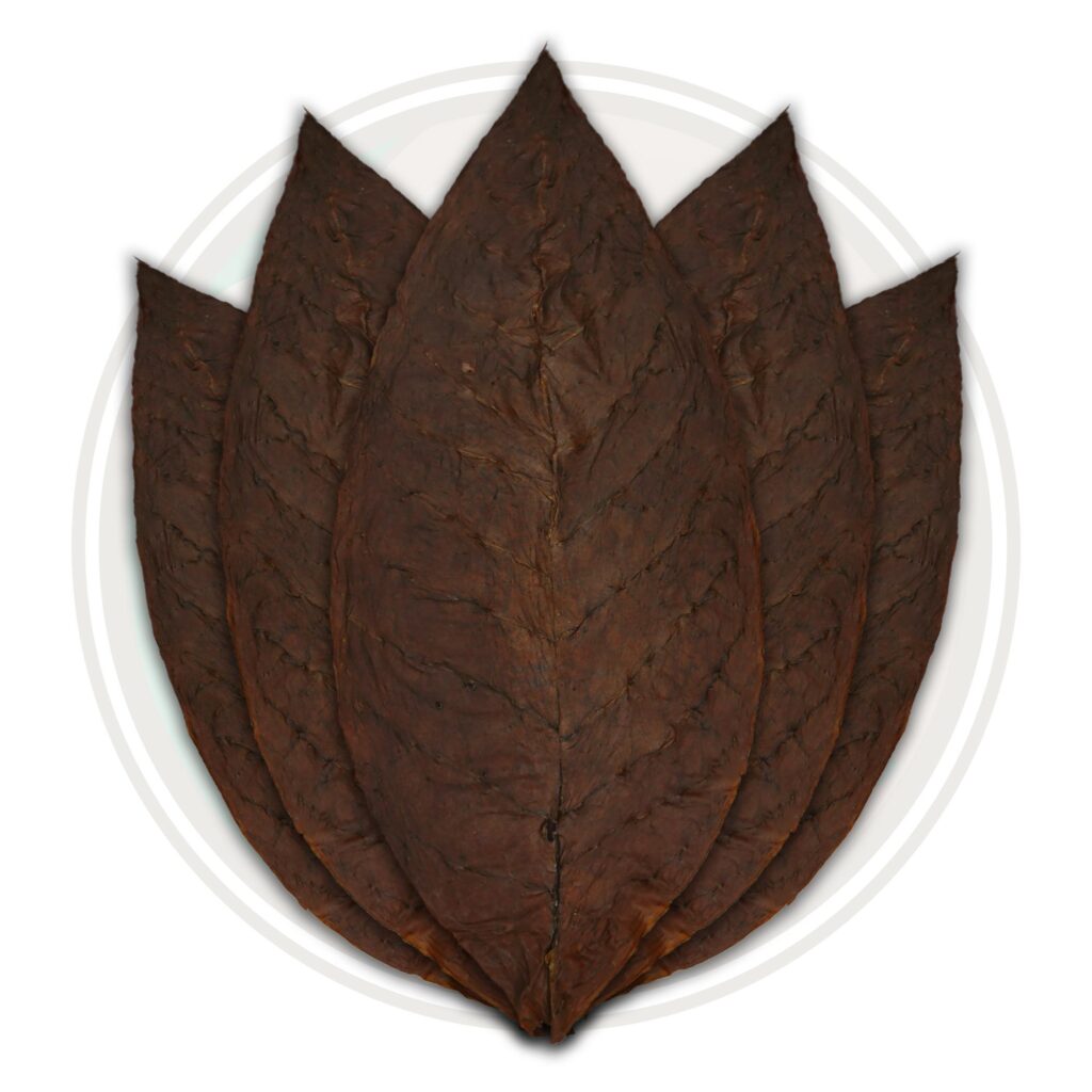 Fronto Dark Air Cured ALO - My Buds